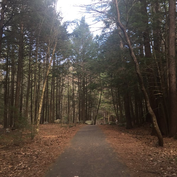 Fitzgerald Lake Conservation Area - Hiking Trail
