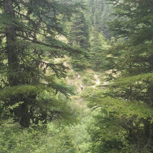 La Reserve Horsh Ehden - Campground