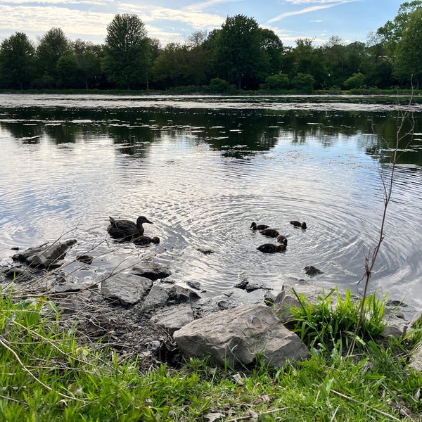 Frame Park - 14 tips