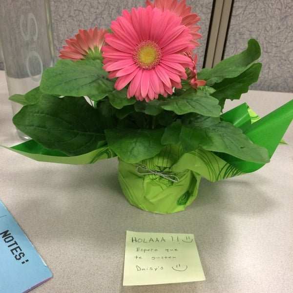 State Farm Call Center