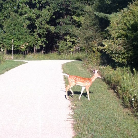 Cuba Marsh Forest Preserve - Nature Preserve