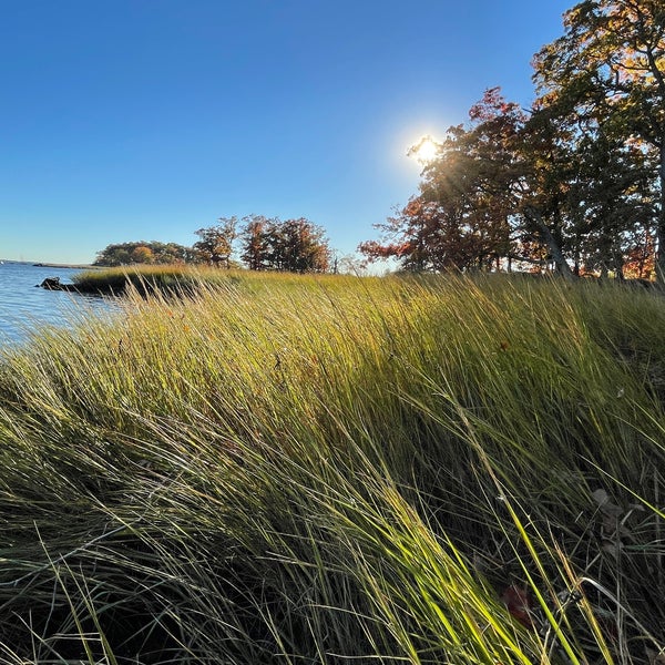 Marshlands Conservancy - Boston Post Road