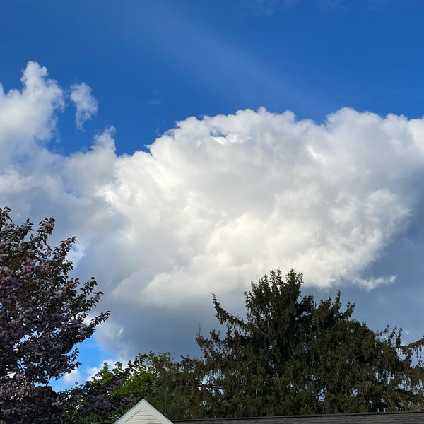 Rye Brook, NY - Rye Brook, NY