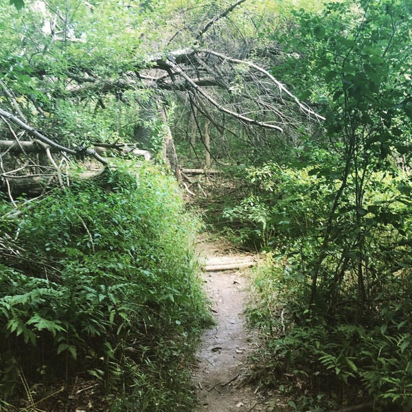 Isinglass River Park - Hiking Trail in Gonic