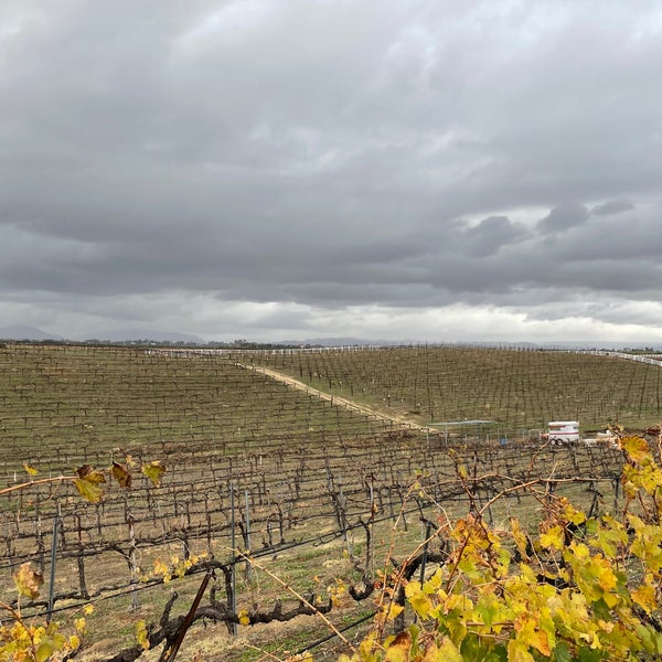 Palumbo Family Winery - Winery in Temecula