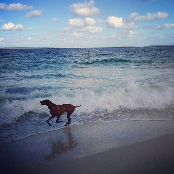Huskisson Beach - Huskisson, NSW