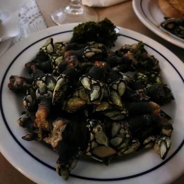 Solar dos Perceves - Seafood Restaurant in Vila do Bispo