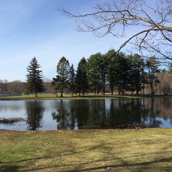 Photos at Patton Park - 4 tips