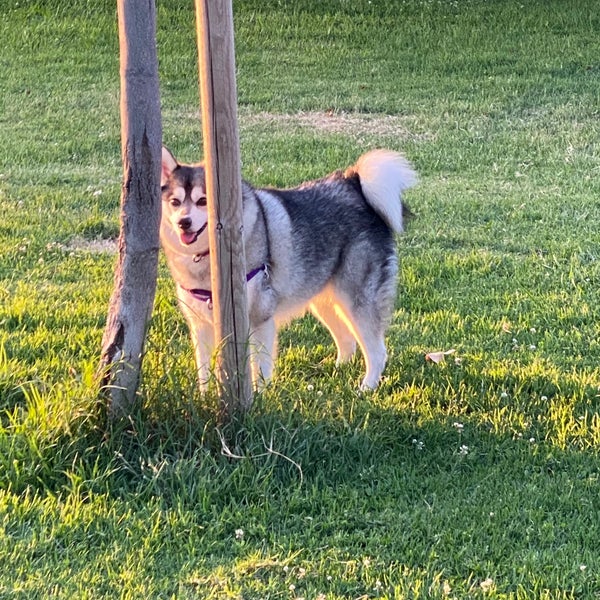 Libbit Park - 5 tips