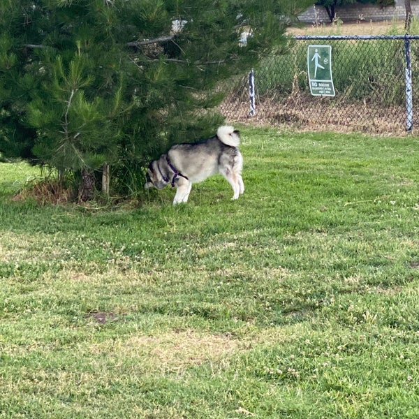 Libbit Park - 5 tips