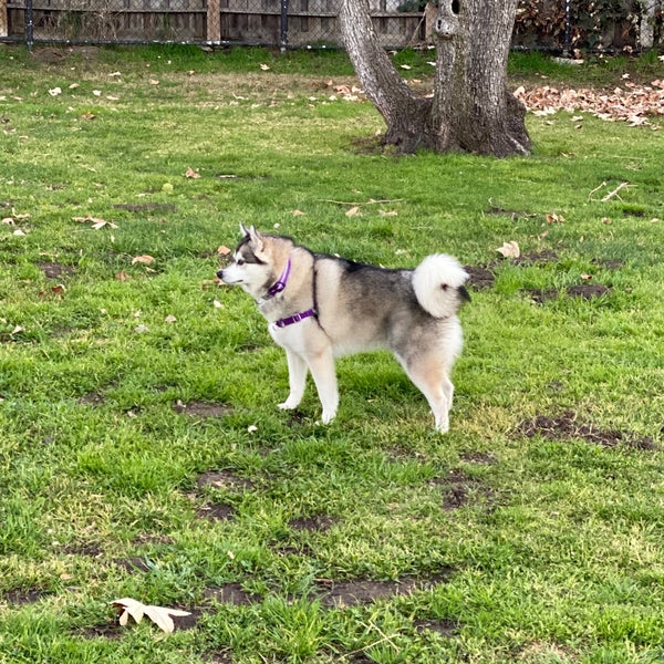 Libbit Park - 5 tips