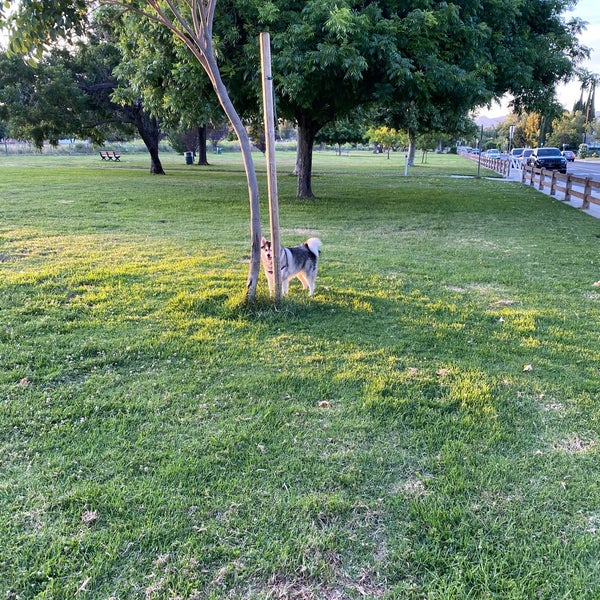 Libbit Park - 5 tips