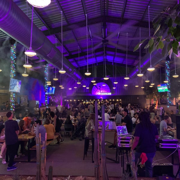 Are Dogs Allowed At The Churchill Phoenix