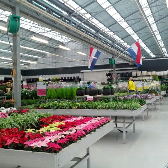 Ranzijn Tuin & Dier - Flower Shops in Centrum Almere-Buiten
