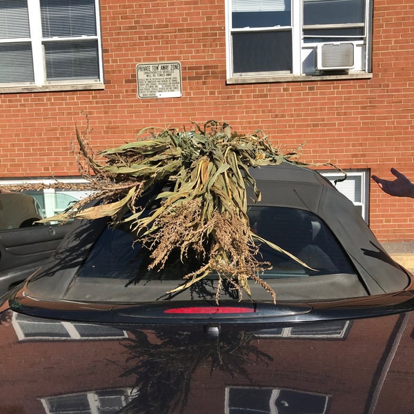 Photos at Strader's Garden Center - 214 visitors