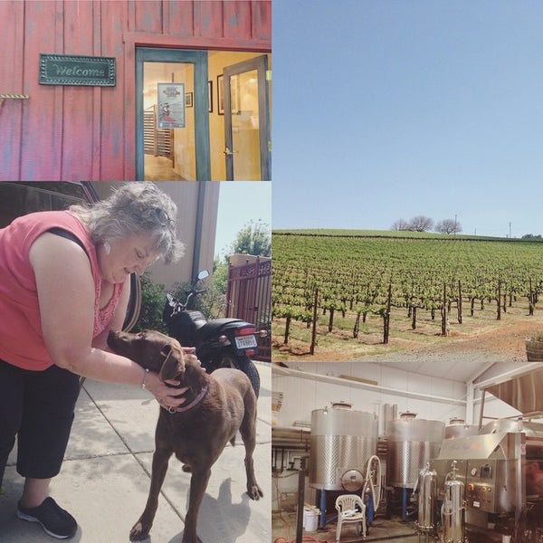 Gregory Graham Wines - Winery in Lower Lake
