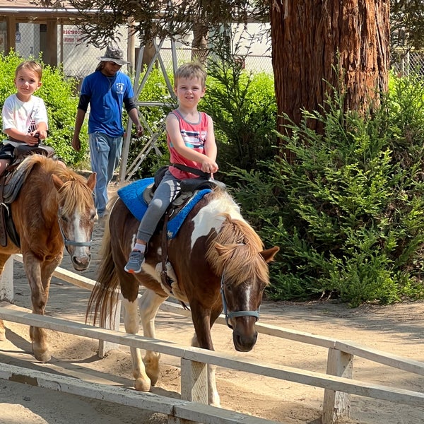 Griffith Park Pony Rides Birthday