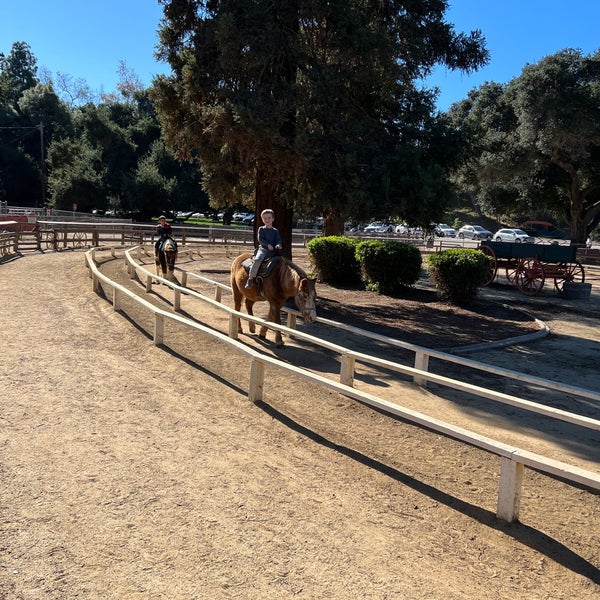 Griffith Park Pony Rides Birthday
