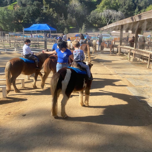 Griffith Park Pony Rides Birthday