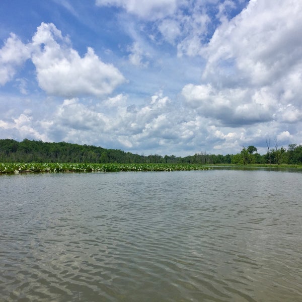 Photos at Pohick Bay Regional Park - 8 tips