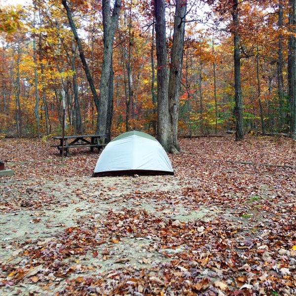 Oak Ridge Campground | Prince William Forest Park - Campground in Manassas