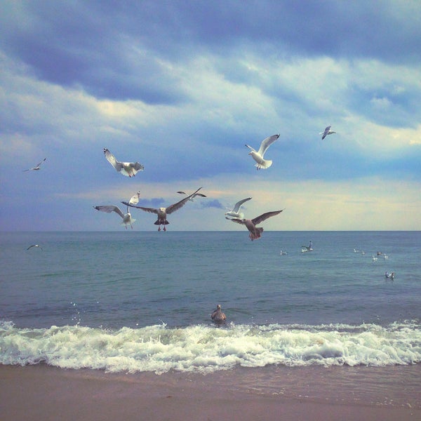 Sea Gull Beach - Beach in West Yarmouth