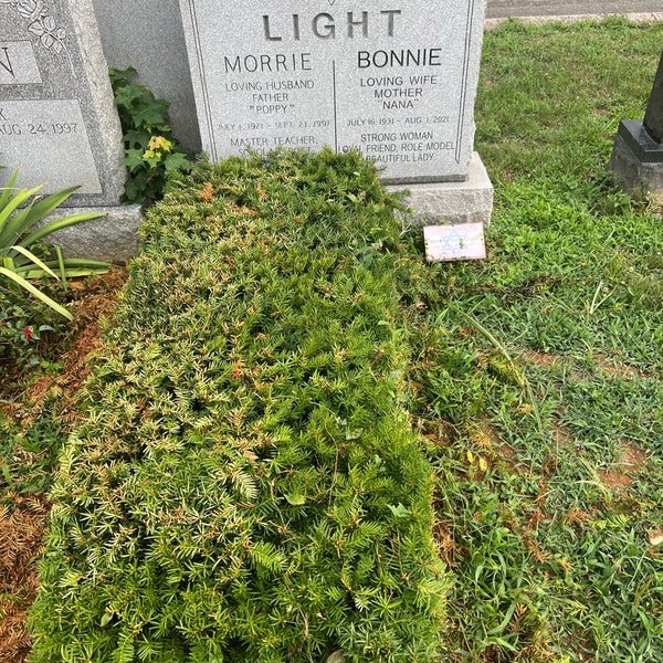 Beth David Cemetery - Cemetery