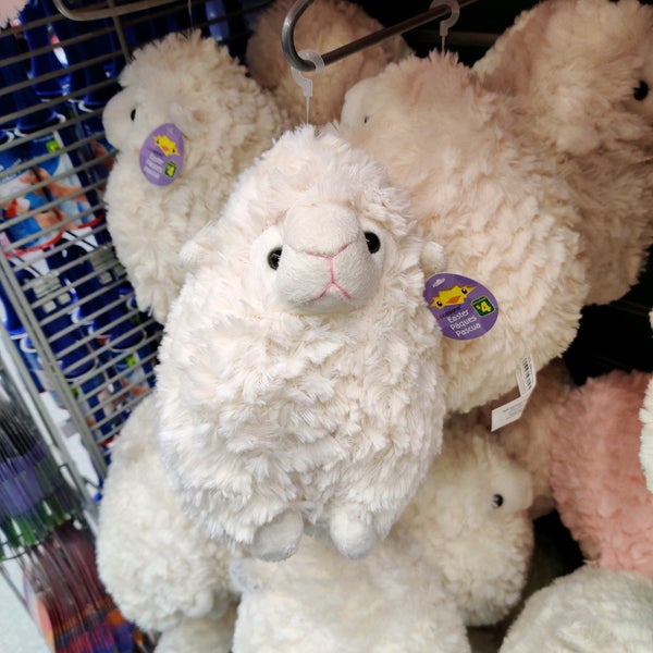 Dollarama - 300 Borough Dr, Scarborough Town Centre