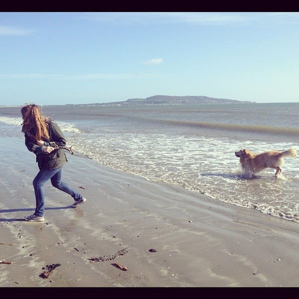 Bull Island - 8 tips