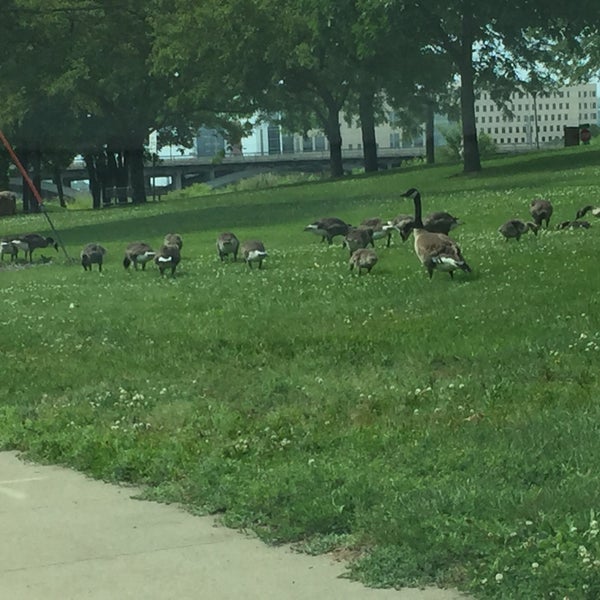 Sokol Park - Park in Southwest Area