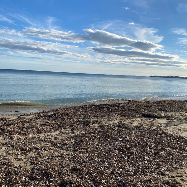 Playa Punta Prima - Beach
