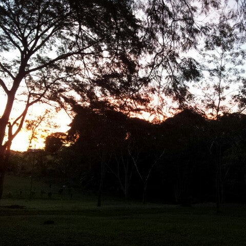 Photos at Palmiste Park - Park in Palmiste