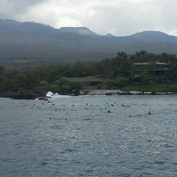 Turtle Town - 8 tips