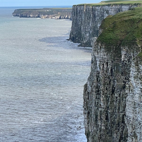 Bempton Cliffs - Bempton, East Yorkshire