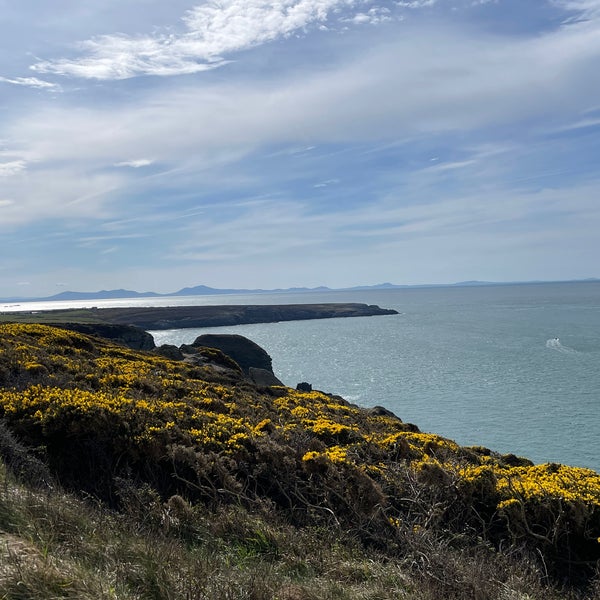 RSPB South Stack Cliffs - 4 tips from 216 visitors