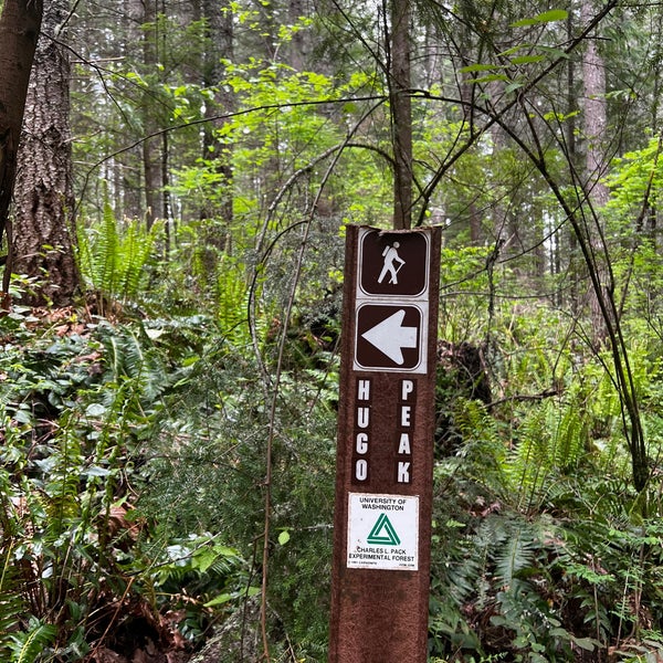 Pack Forest - Forest in Eatonville