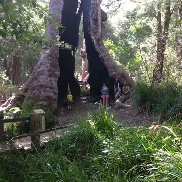 WonderMondo's Australia/Oceania