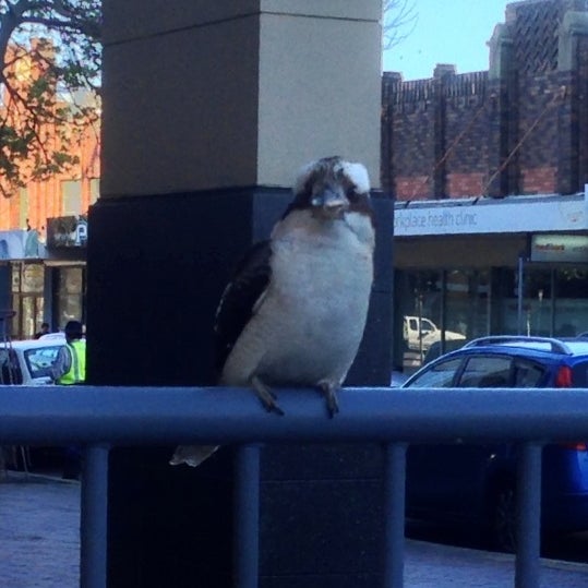 Telstra Building - Newcastle West, NSW