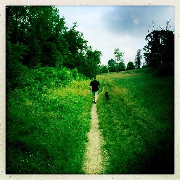 Baxter Preserve - Field