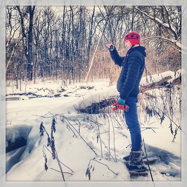 Ferrettie/Baugo Creek County Park - Park
