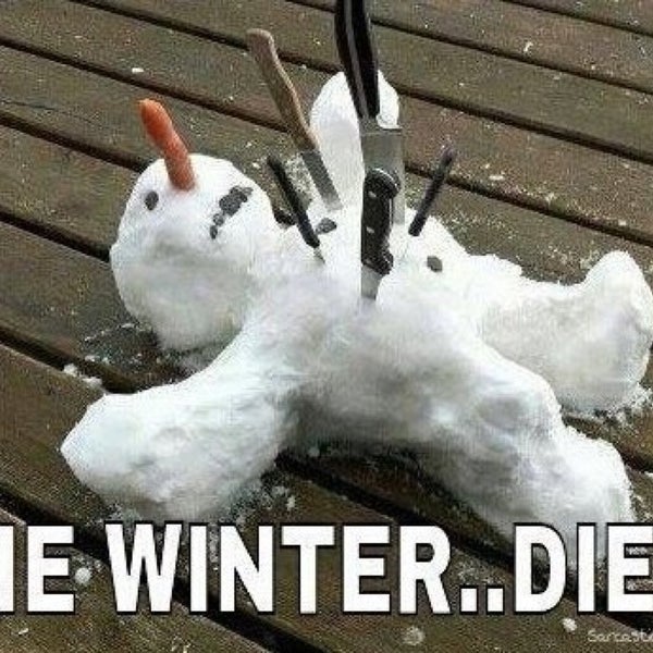 Hate Cold Weather Quotes