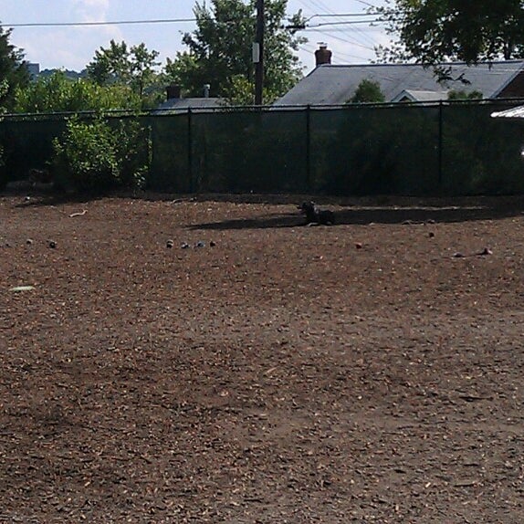 Walter Reed Dog Park - Arlington, VA