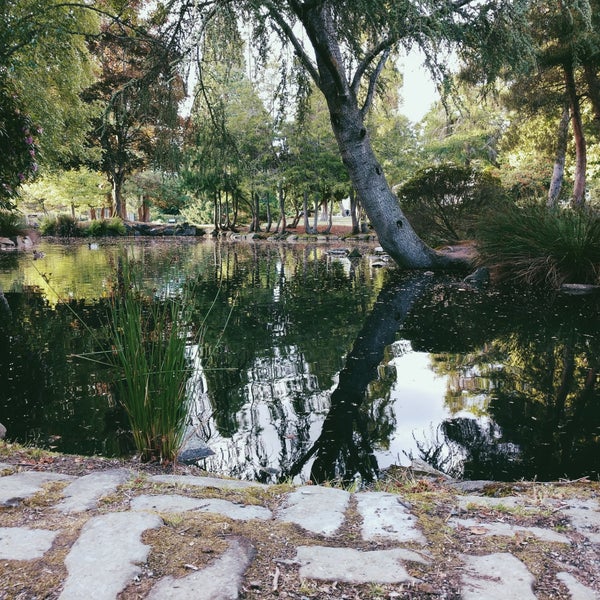 Point Defiance Duck Pond - West End - 5910 N Waterfront Dr