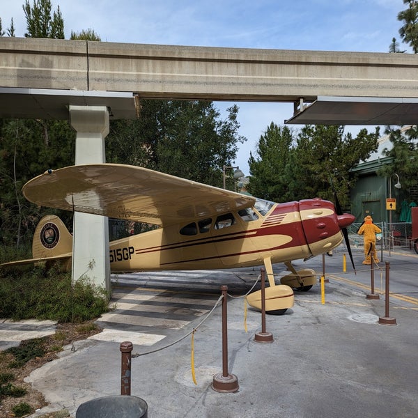 Disney Cat spot - Zoo Exhibit in Anaheim