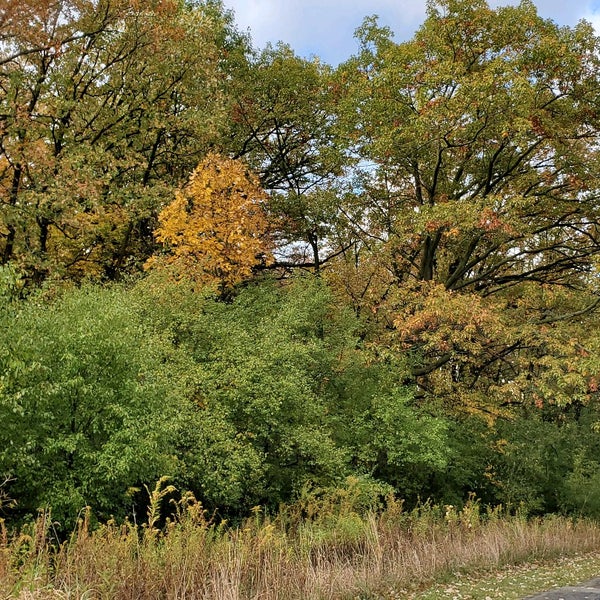 Oak Forest Forest Preserve - 159th St.