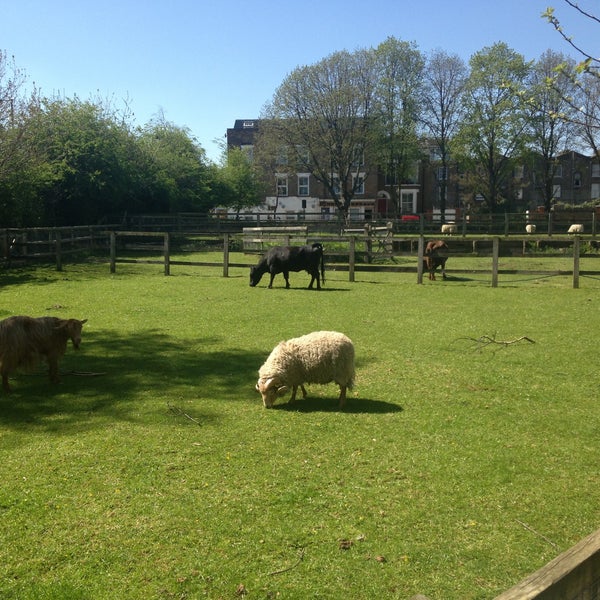 Photos at Freightliners City Farm - Farm in Holloway