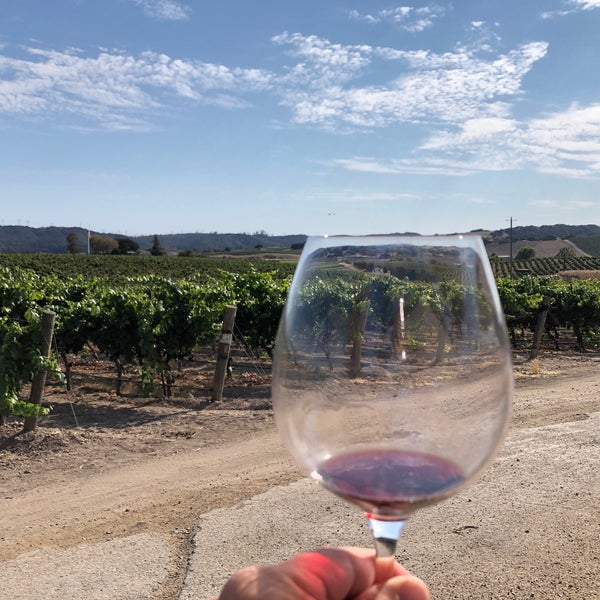 Chamisal Vineyards - Winery in San Luis Obispo