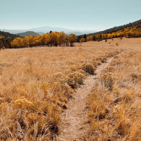 Wilkerson Pass - Lake George, CO