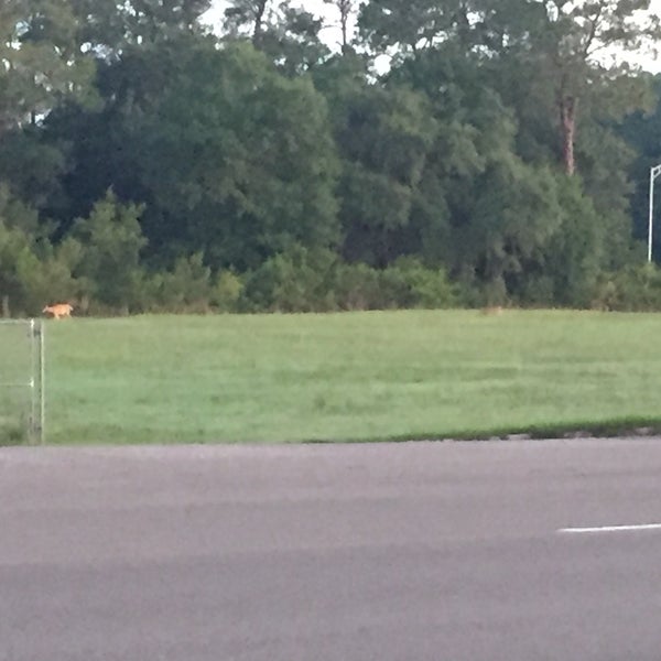 Photos at Tampa Bay Downs - Race Track