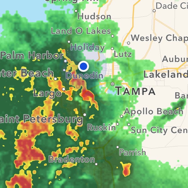 Photos at Tampa Bay Downs - Race Track